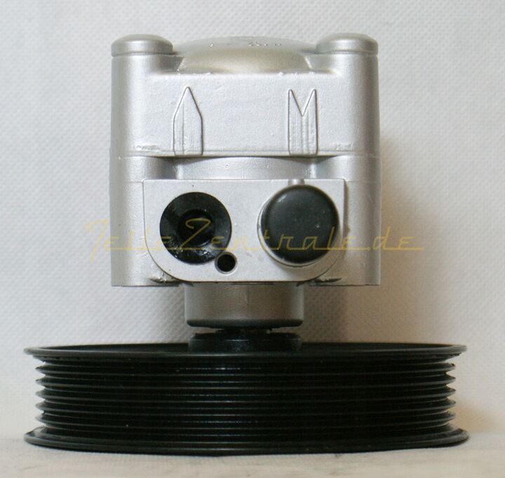 Power steering pump 36000215 36002540 36050558 7617955164 SP85076