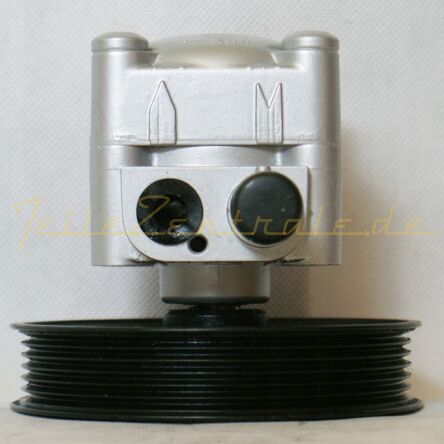 Power steering pump 36000215 36002540 36050558 7617955164 SP85076